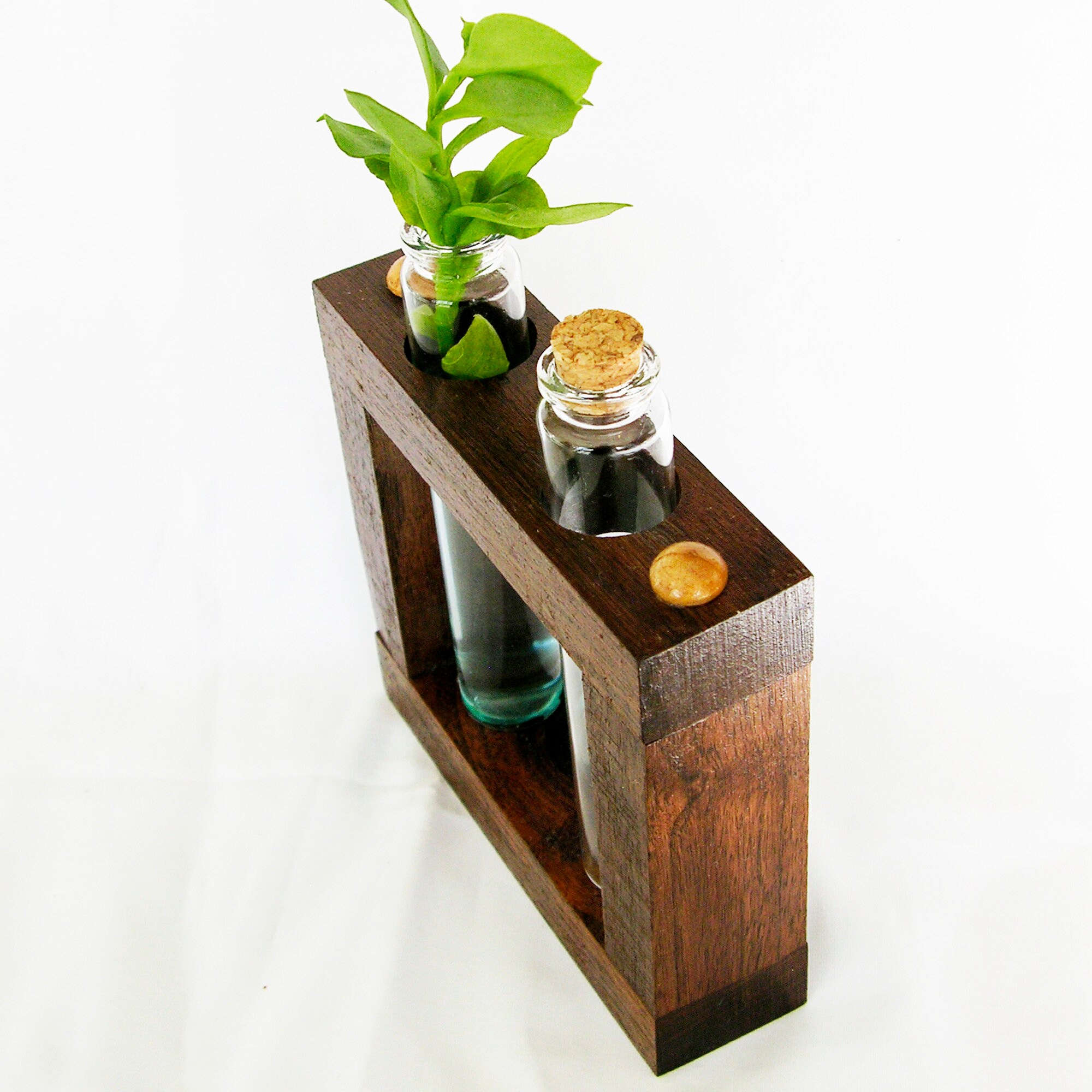 Propagating Station Root House Plants Home Office Window Decor Plant ...