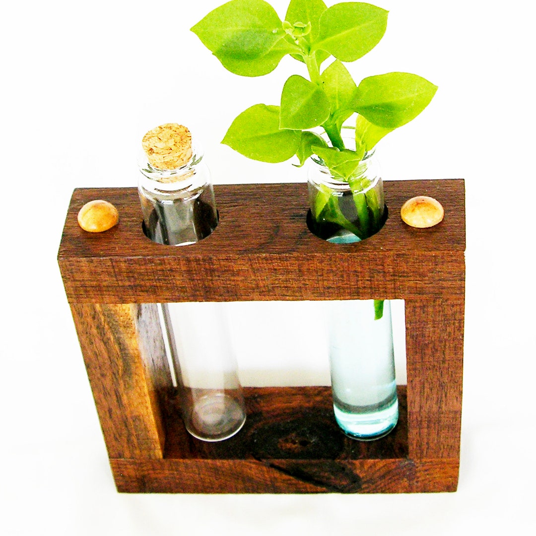 Propagating Station Root House Plants Home Office Window Decor Plant ...