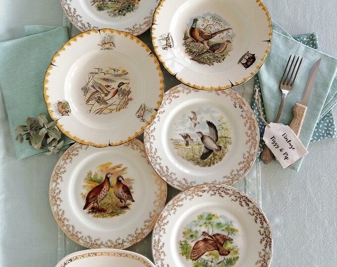 8 Mix & Match Game Bird Plates. Mismatched Game Plates. Pheasant ...