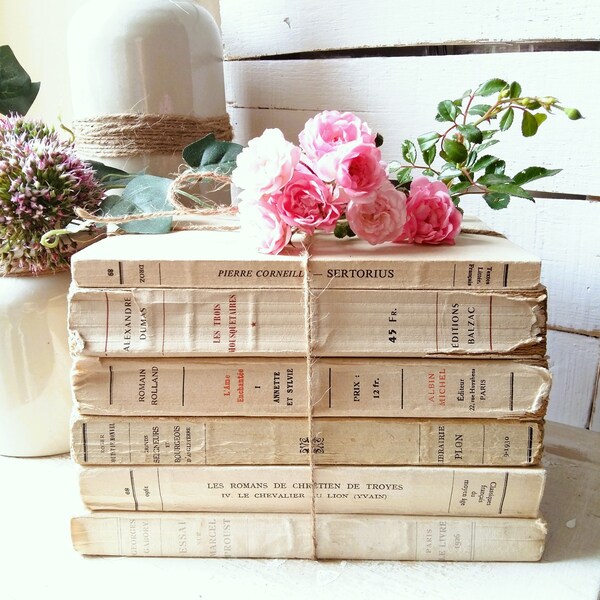 French Literature - Etsy