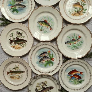 10 Mix and Match Fish Plates. Mismatched Fish Dinner Plates. Fish Plate ...