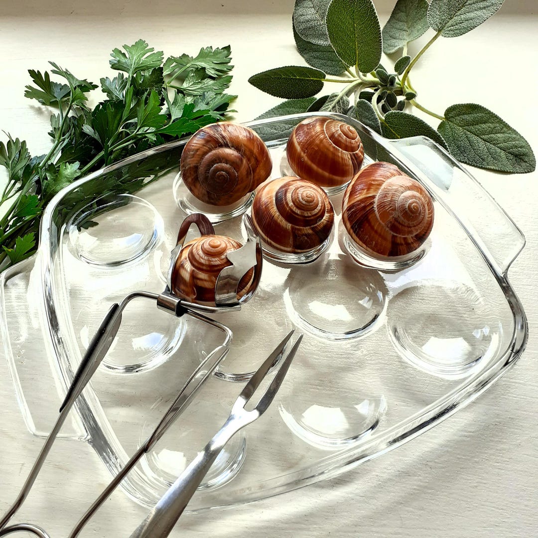 Set of 8 Pyrex Escargot Dishes. Snail Plates. Glass Escargot Plates - Etsy