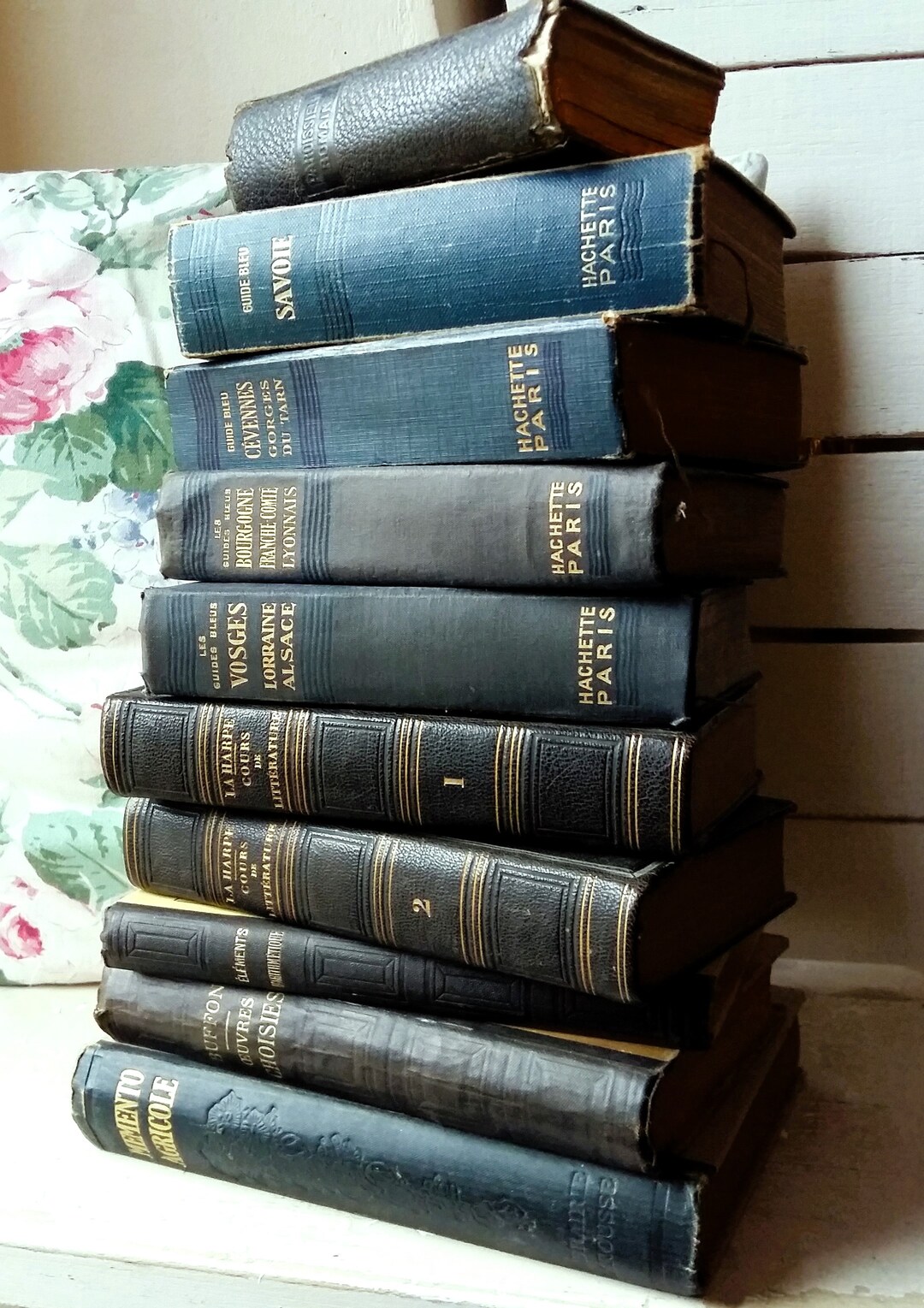 Stack of TEN Antique French Books. Maps Books. Blue Book Bundle. 1800's ...