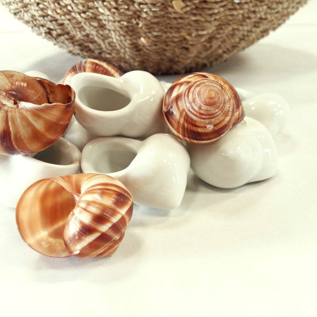 12 French Snail Pots, Ceramic Snail Cups, Individual Pinch Pots, Snail ...