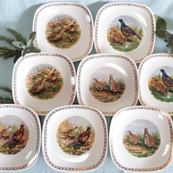 Bird Plates - Etsy