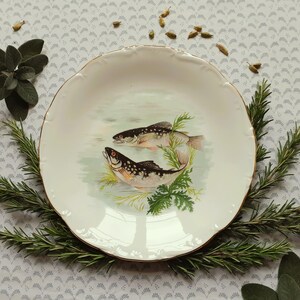 10 Mix and Match Fish Plates. Mismatched Fish Dinner Plates. Fish Plate ...