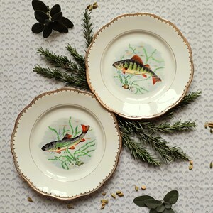 10 Mix and Match Fish Plates. Mismatched Fish Dinner Plates. Fish Plate ...