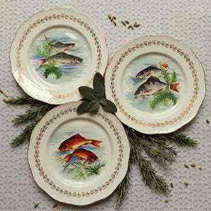 10 Mix and Match Fish Plates. Mismatched Fish Dinner Plates. Fish Plate ...