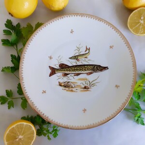 8 Mix and Match Fish Plates. Vintage, French, Porcelain/ Fine China ...