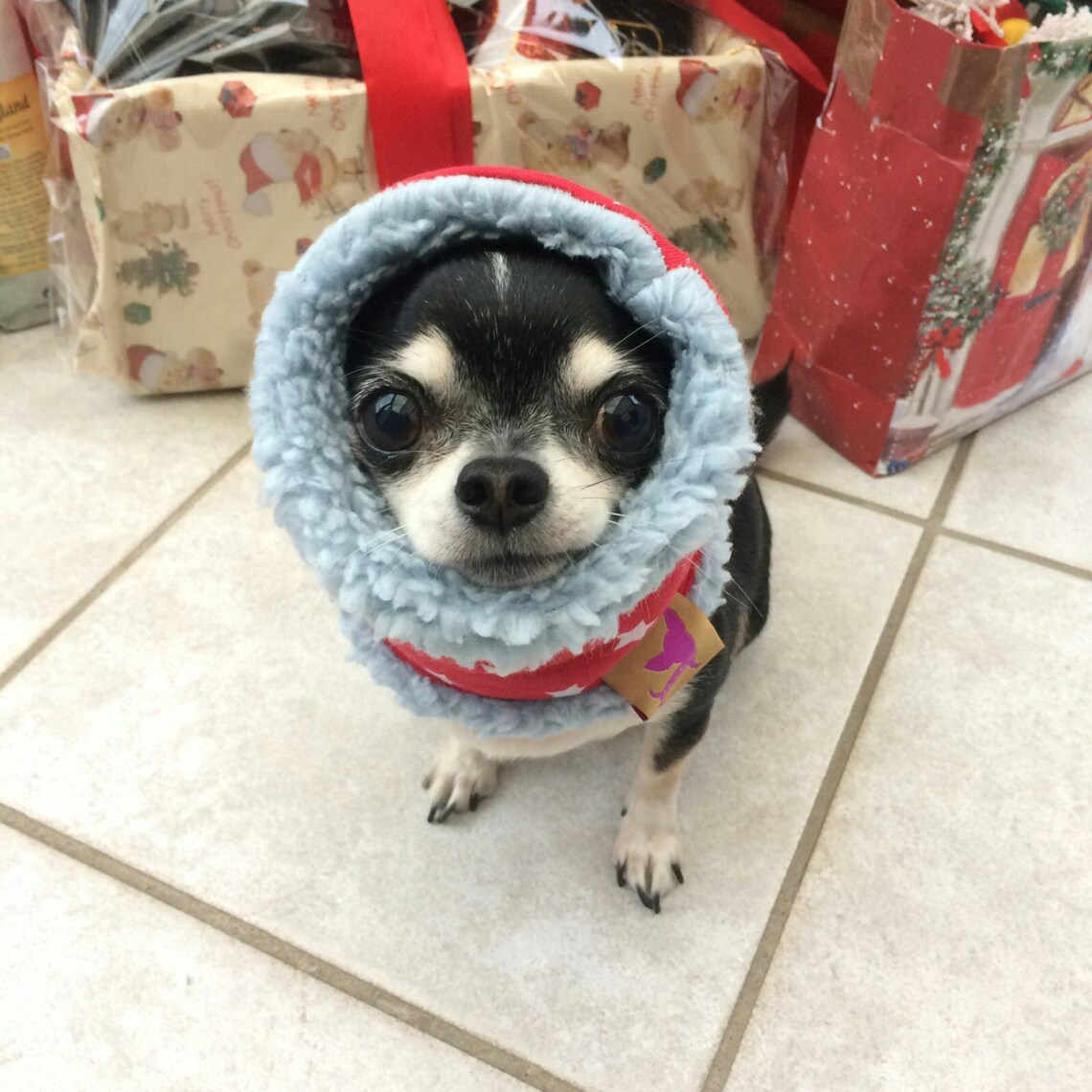 Petiro "huggies Stars" Snood for Dog | Cats. Faux Sherpard Neckwear ...