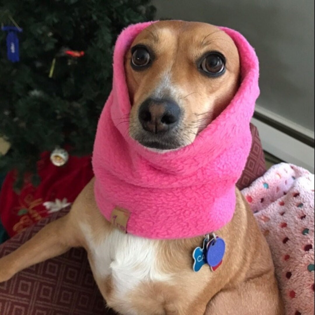 Petiro Pink Huggies Fleece Snood for Dog Cat. - Etsy