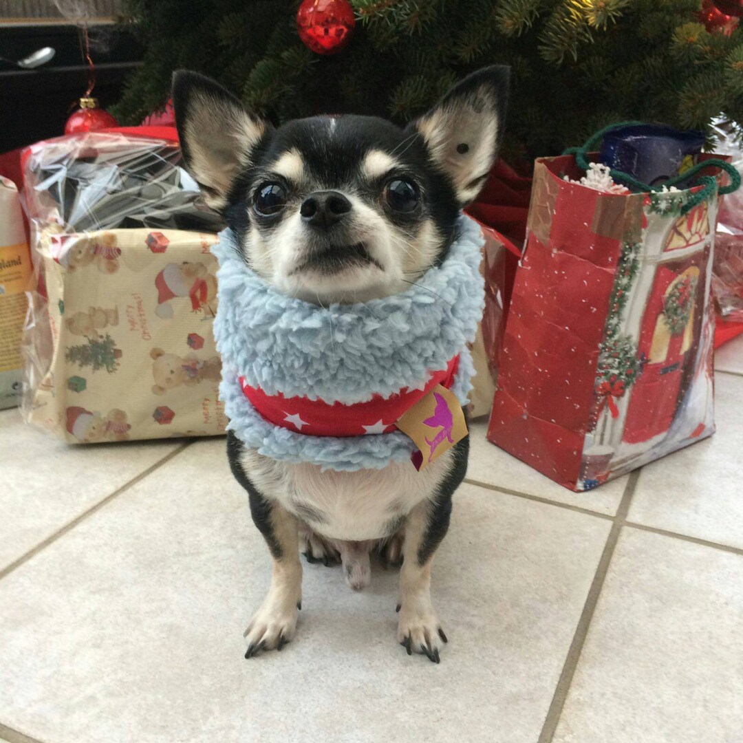 Petiro "huggies Stars" Snood for Dog | Cats. Faux Sherpard Neckwear ...