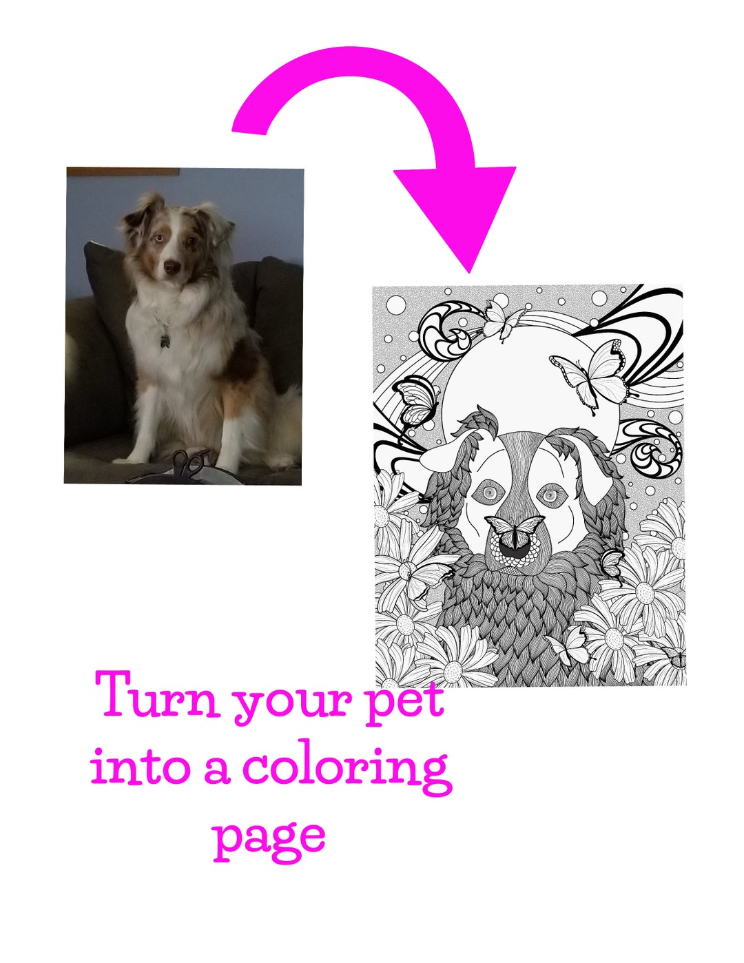 Custom Pet Coloring Page, Instant Download, Detailed Coloring, Design ...