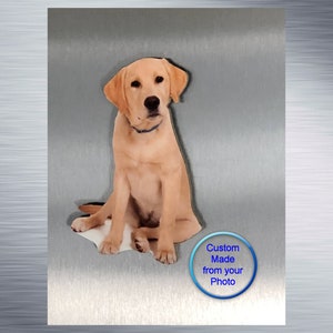 Custom 3D Fridge Magnets 3"x4" Photo Personalized Magnet Cutout of Your ...
