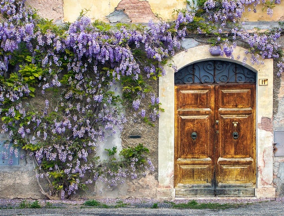 Old Purple Doors