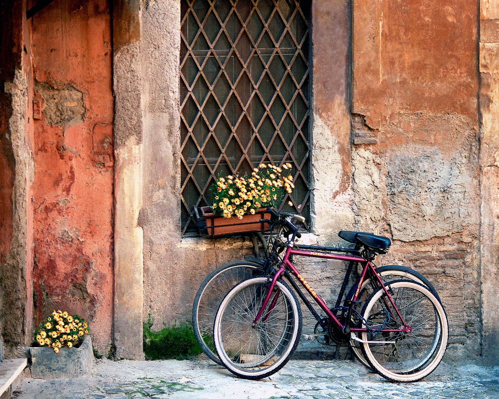 Italy Italy Print. Rome Italy Bicycle Photo Flowers Iron - Etsy