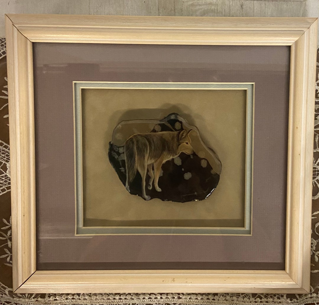 MIDWEST TROPHY COYOTE on Rock Wall Hanging - Etsy