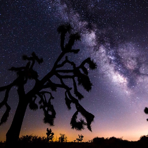 Penguin Rock Milky Way Joshua Tree National Park Night Sky - Etsy