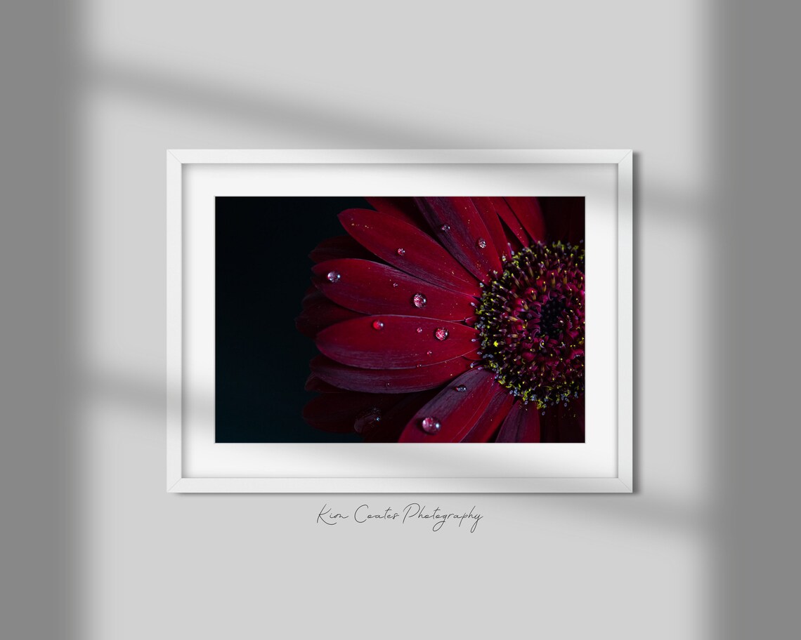 Red Flower Print Macro Photography Calming Wall Art | Etsy