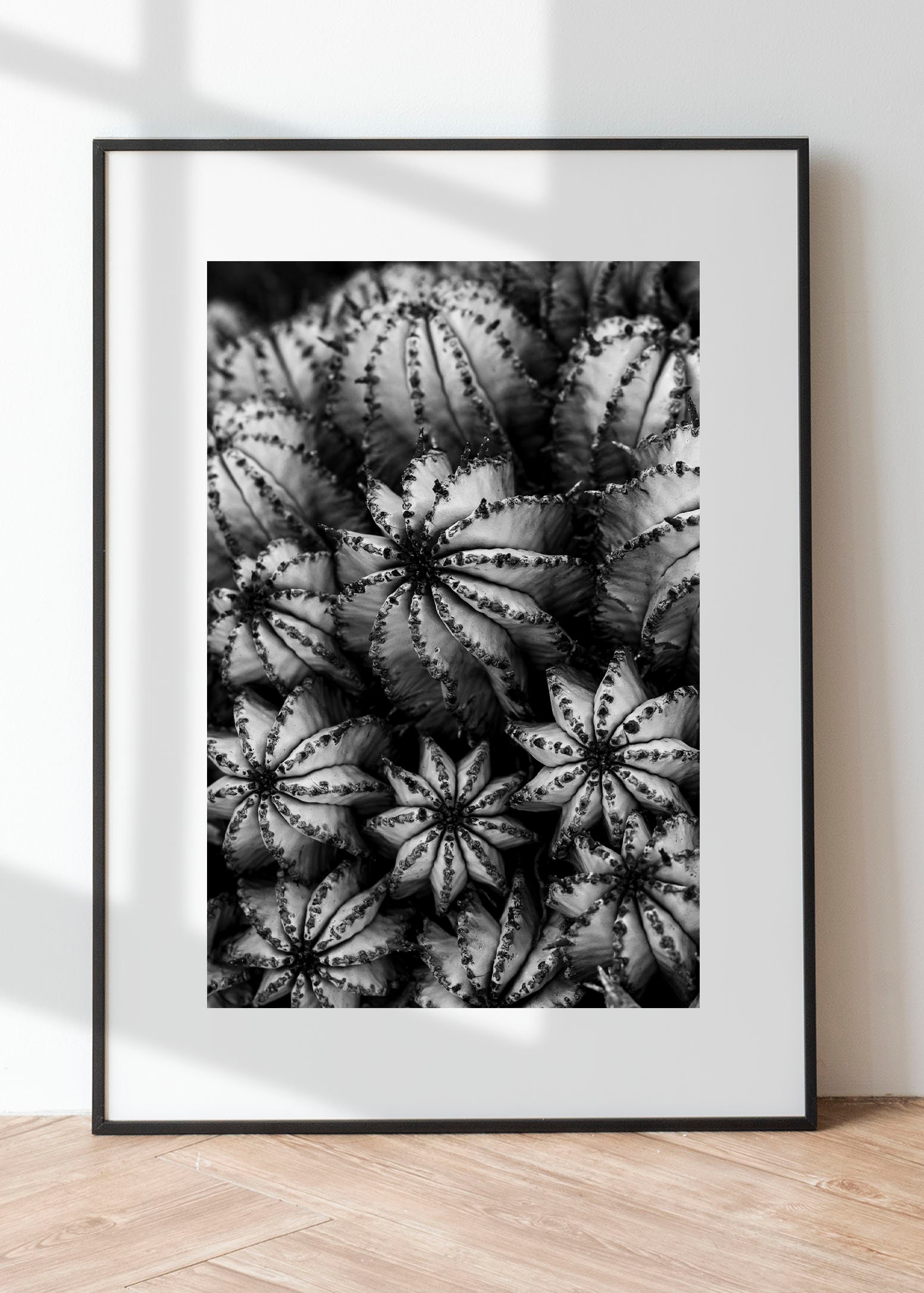 Black and White Cactus Photography Print Modern Leaf - Etsy