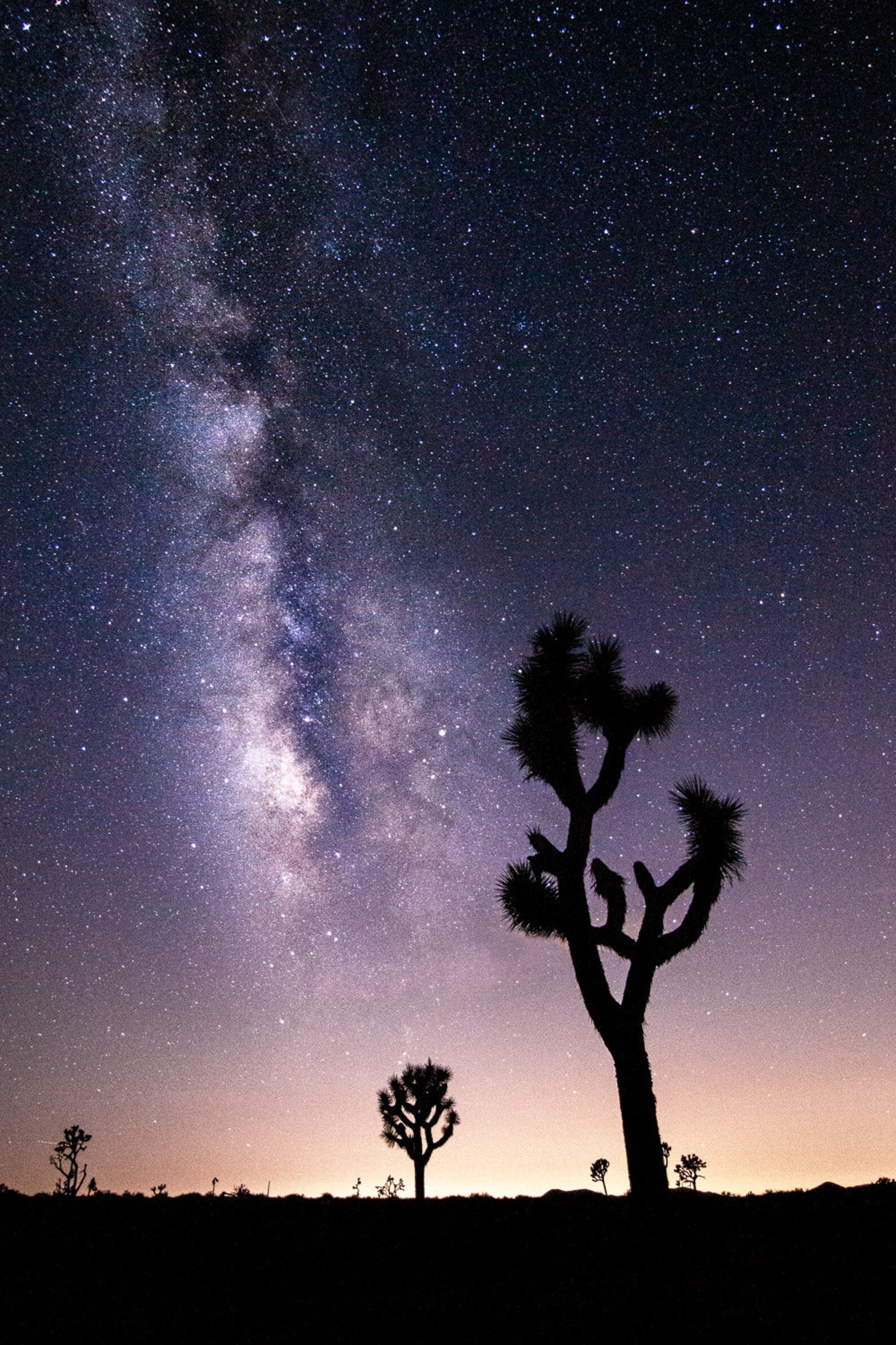 Joshua Tree National Park Print | Milky Way Starry Sky Astrophotography ...