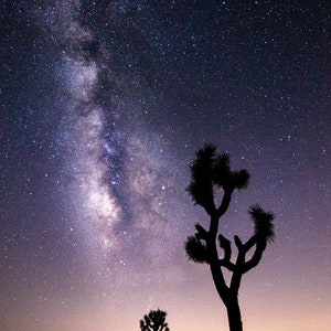 Joshua Tree National Park Print | Milky Way Starry Sky Astrophotography ...