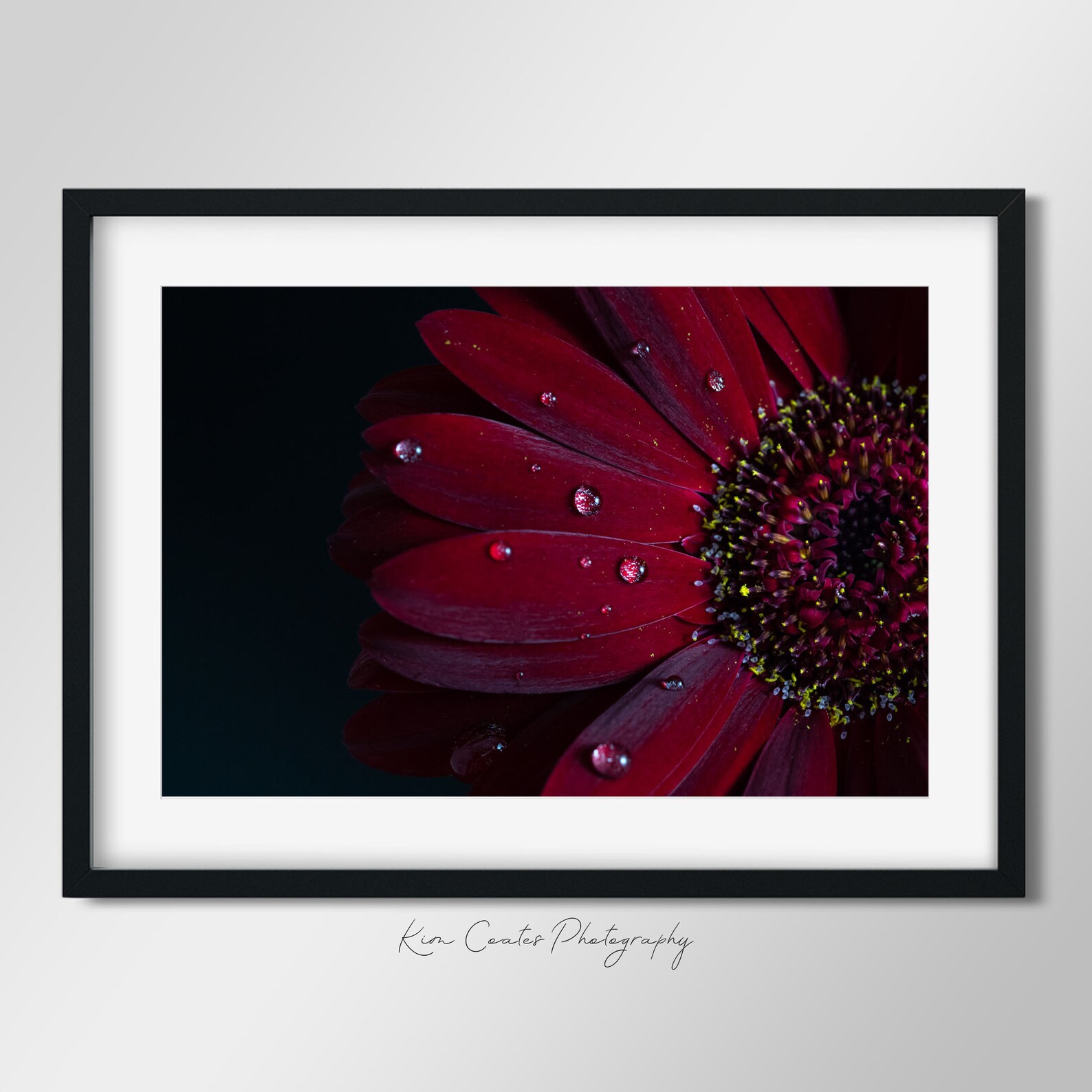 Red Flower Print | Macro Photography | Abstract Botanical Photography ...