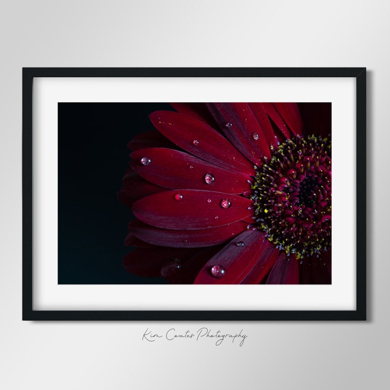 Red Flower Print | Macro Photography | Abstract Botanical Photography ...
