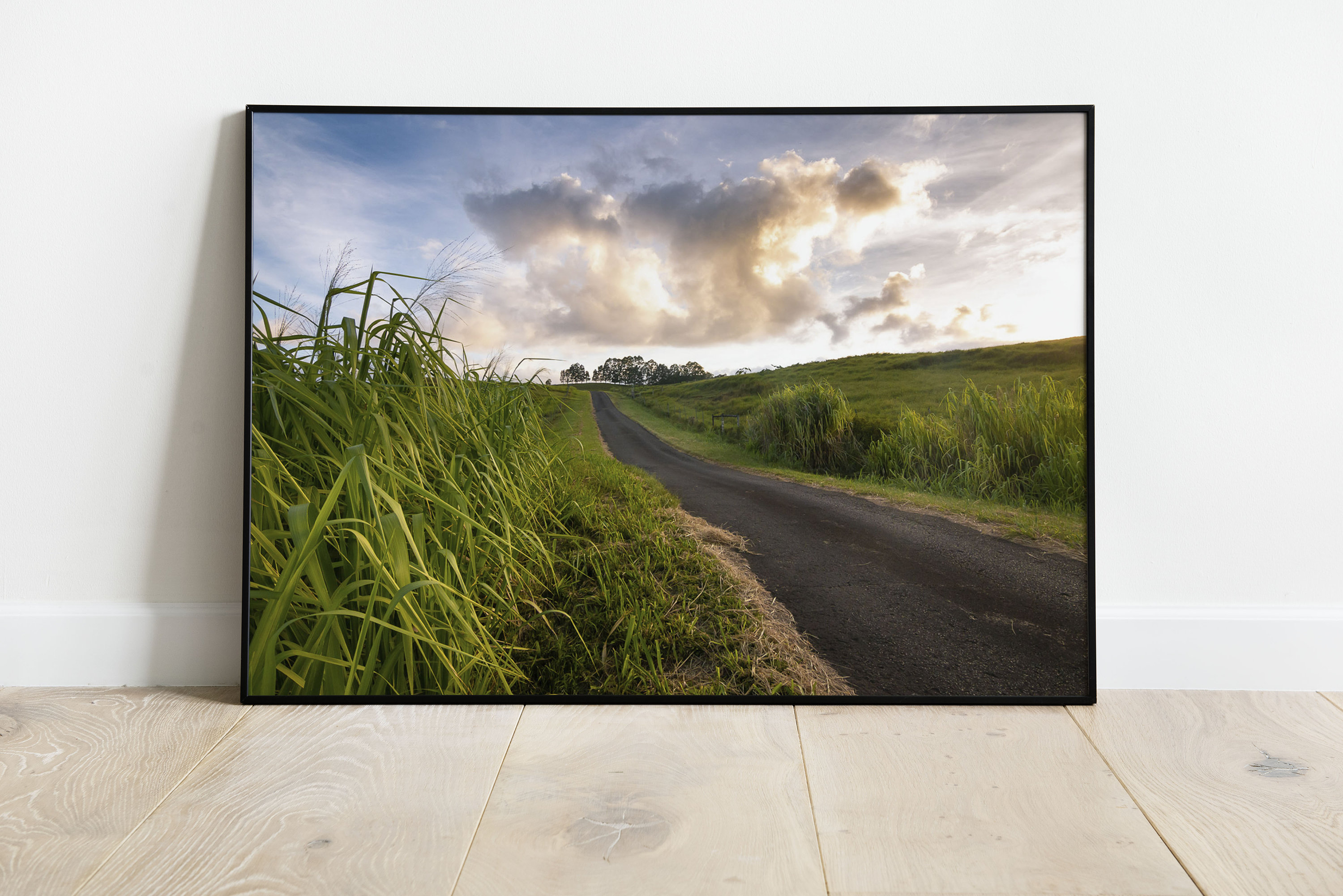 Open Road Photography Print | Travel Photography Decor | Modern Photo ...