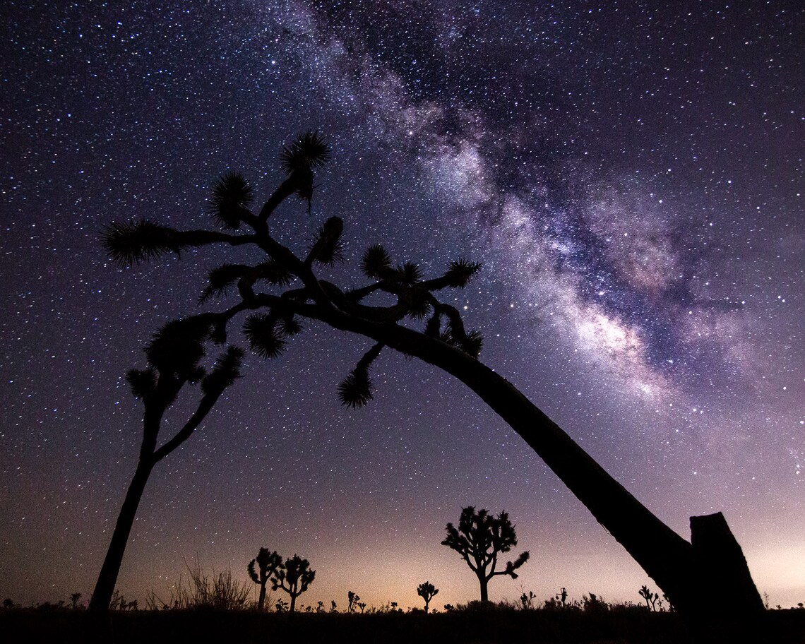 Joshua Tree National Park Print | Night Sky Wall Art | Milky Way ...