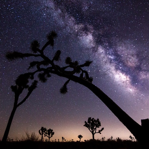 Penguin Rock Milky Way Joshua Tree National Park Night Sky - Etsy