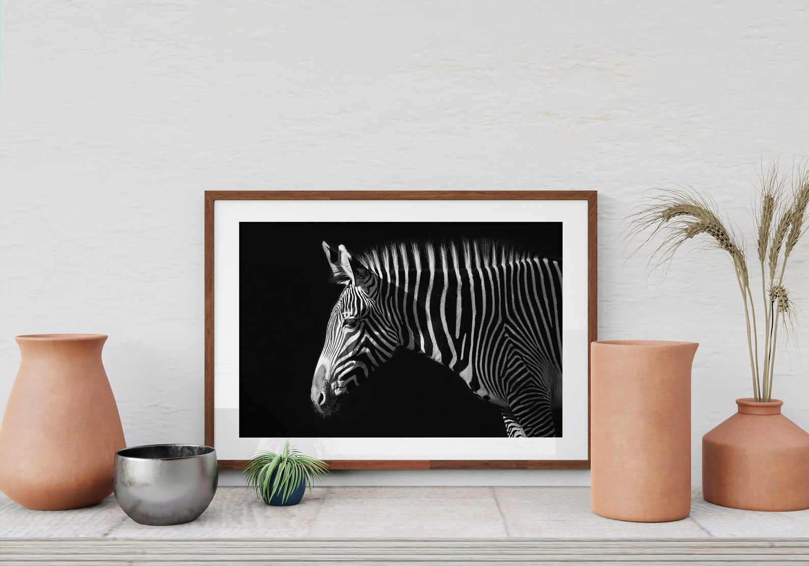 Black and White Zebra Print Wildlife Photography Black and - Etsy