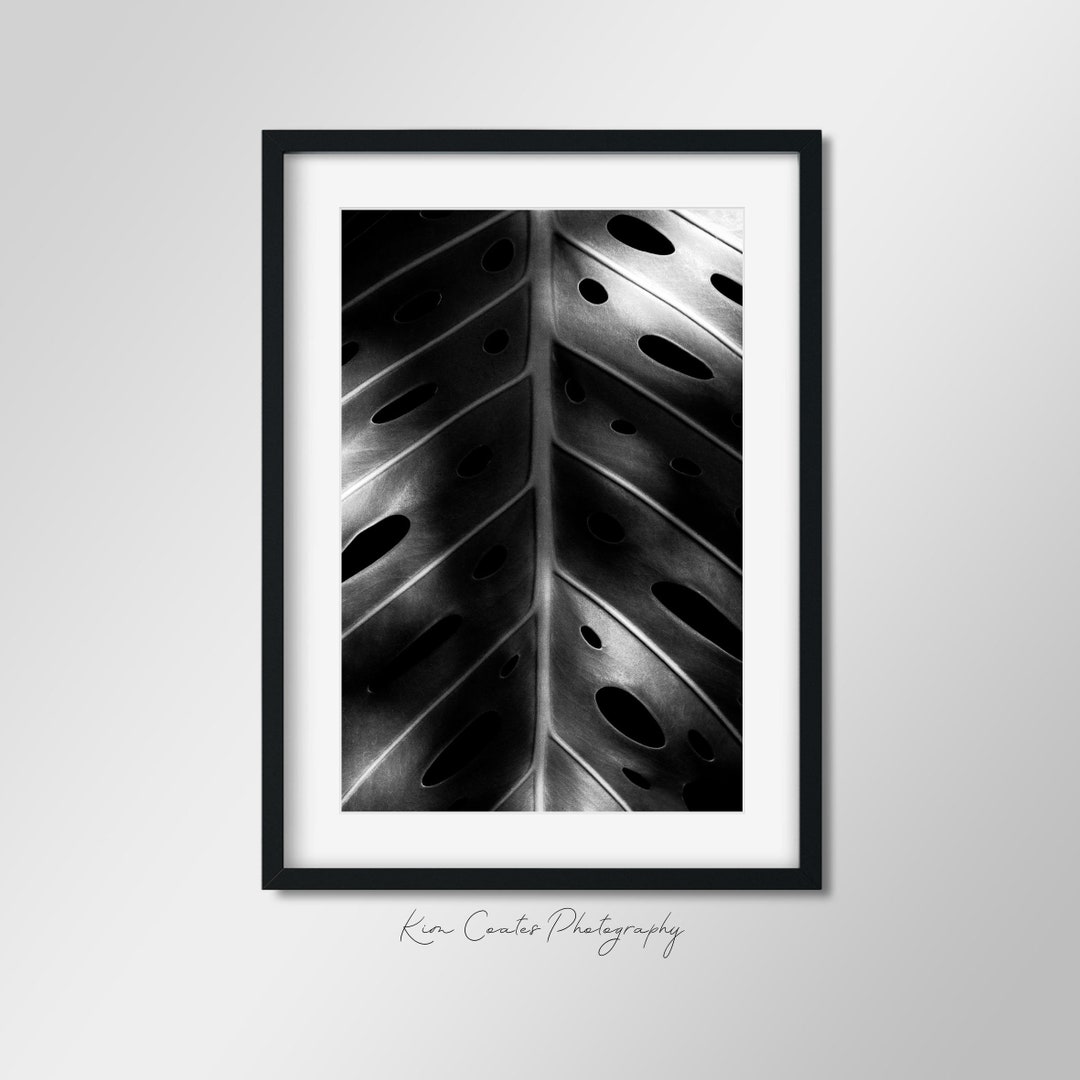 Black and White Monstera Art | Macro Photography | Abstract Leaf ...
