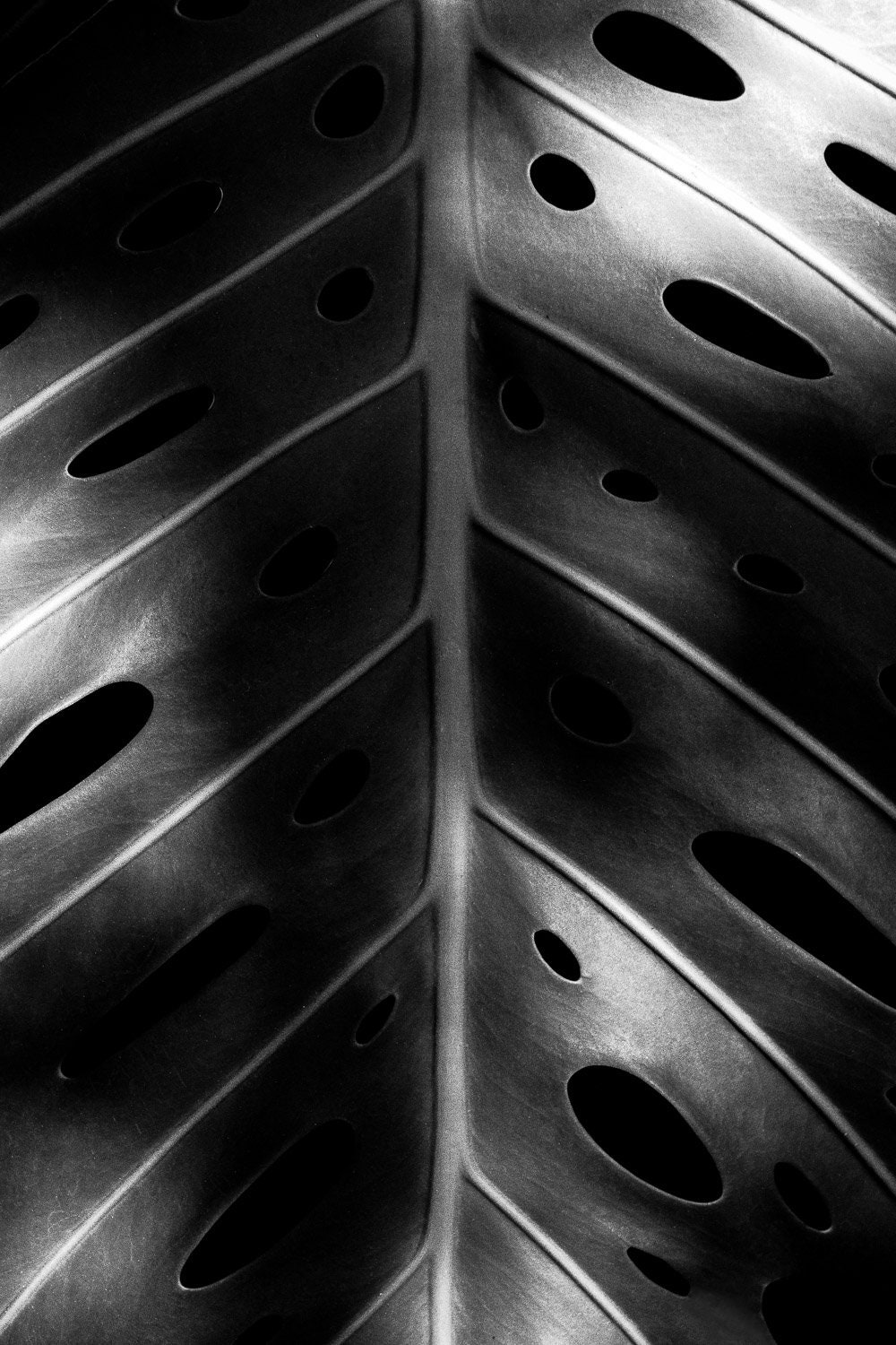 Black and White Monstera Art | Macro Photography | Abstract Leaf ...