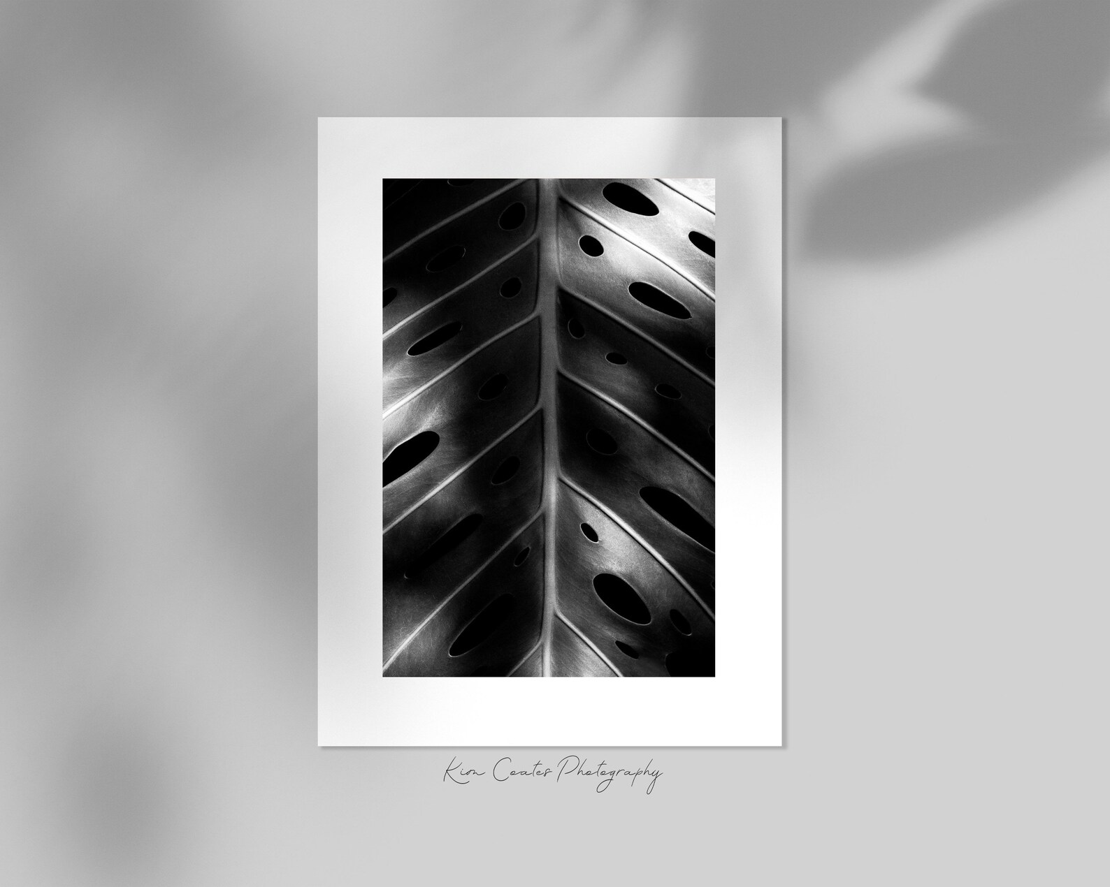 Black and White Monstera Art | Macro Photography | Abstract Leaf ...