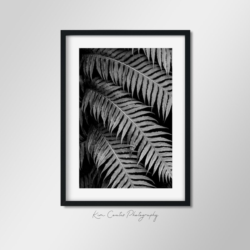 Abstract Fern - Etsy