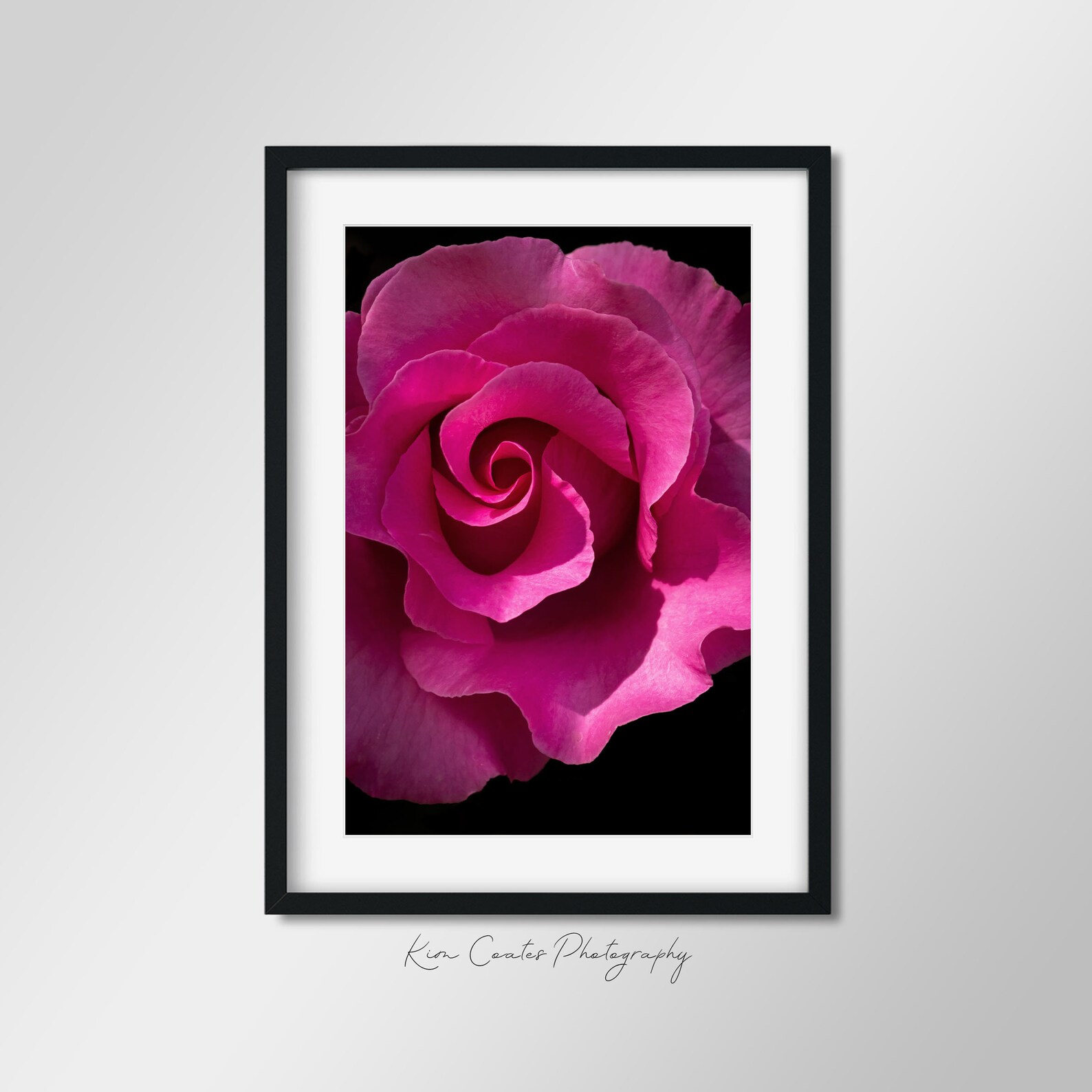 Pink Rose Print Wildflower Print Macro Photography Flower Photography ...