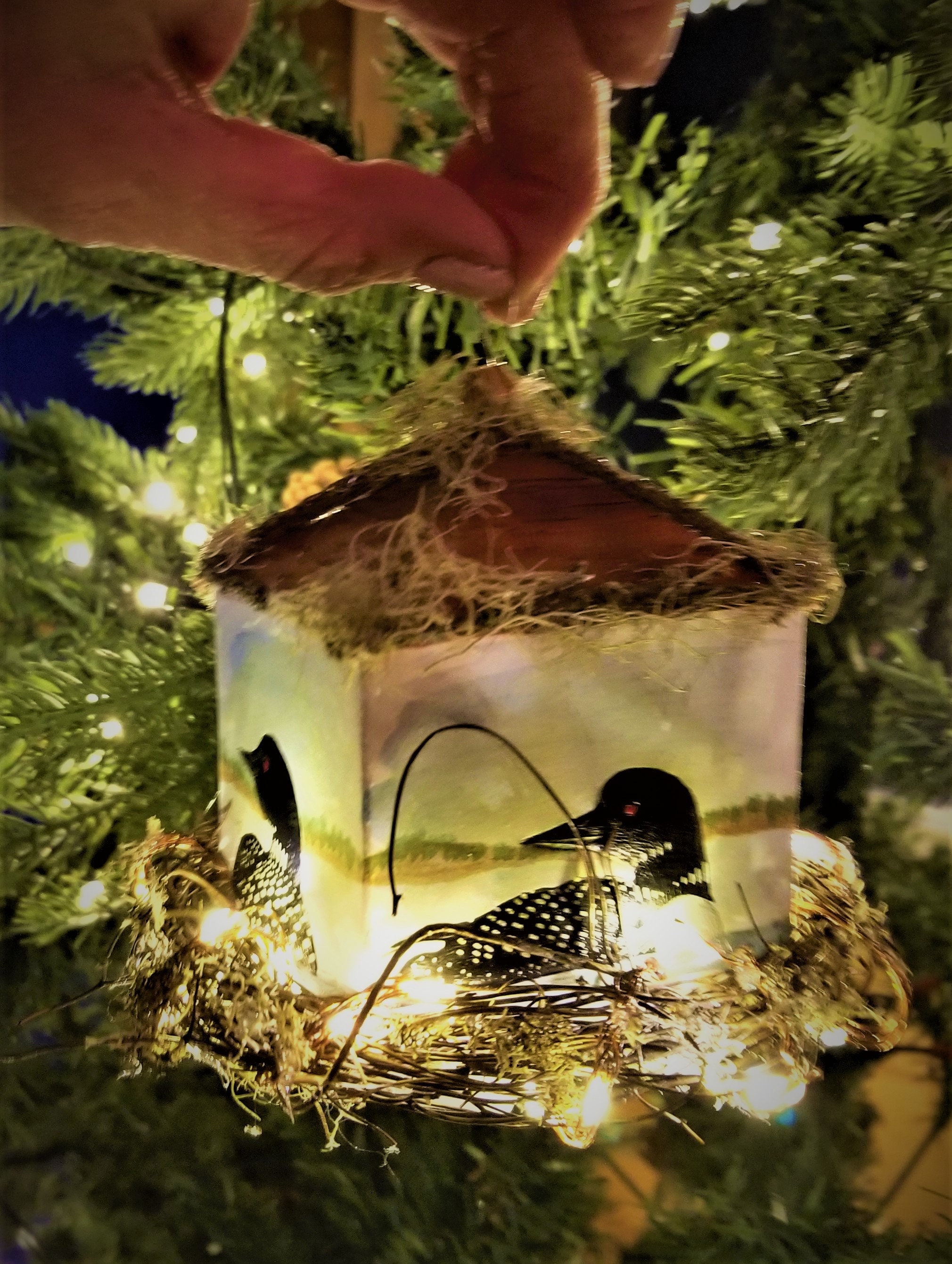 Lighted Loon Ornament - Etsy