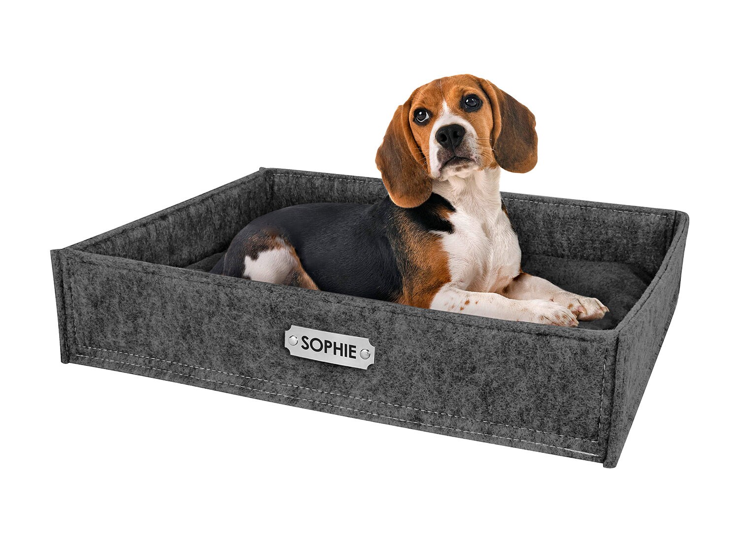 Can You Donate Used Dog Beds can-you-donate-used-dog-beds