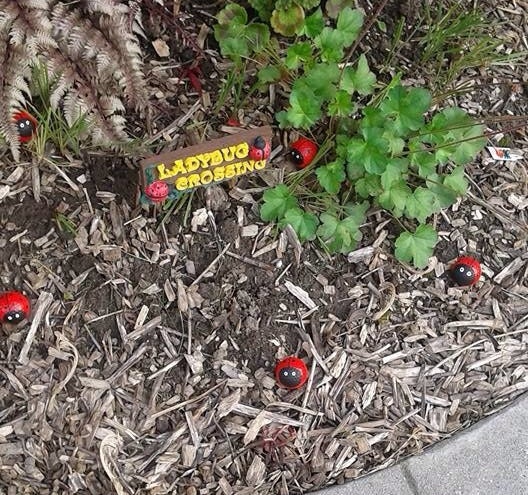 Ladybug Golf Balls - Etsy