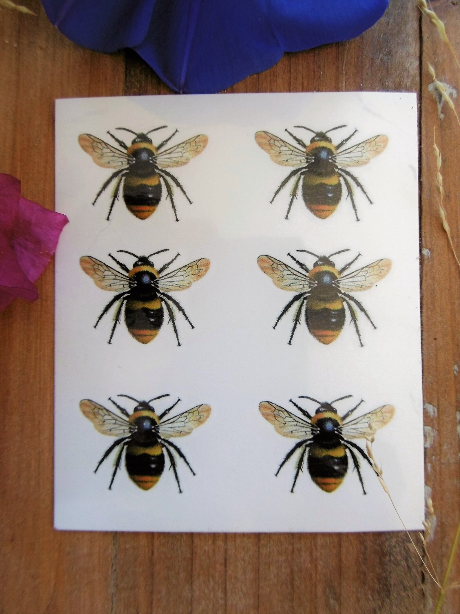 6 Colorful Vintage Bumble Bee Temporary Tattoos, Illustration of Bumble ...