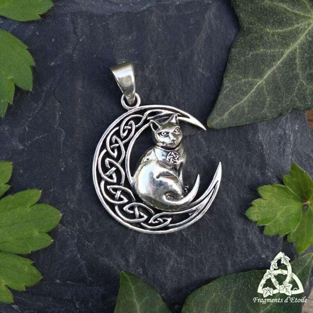 Esoteric Moon and Cat Pendant in Silver, Magical Medieval Wedding Jewel ...