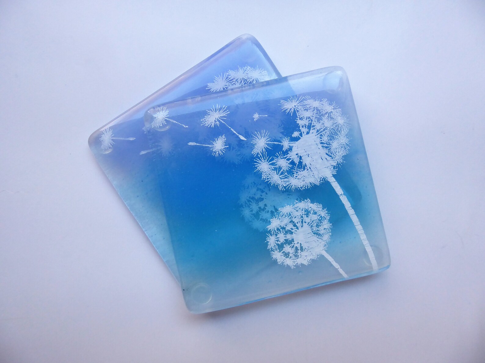 Fused Glass Flower Coaster. Blue White Dandelion Fuses Glass - Etsy UK