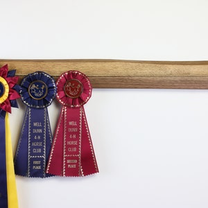 Natural Wood Horse Show Ribbon Display/ Horse Award Display/ Award ...