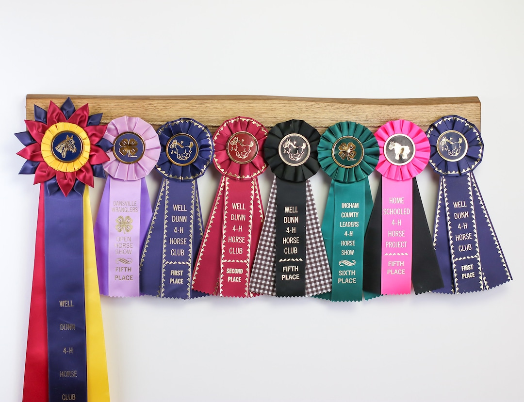 Natural Wood Horse Show Ribbon Display/ Horse Award Display/ Award ...