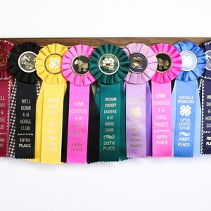 Natural Walnut Horse Show Ribbon Display/ Horse Award Display/ Award ...