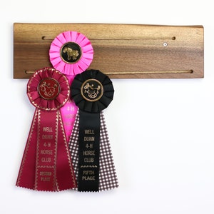 Natural Wood Horse Show Ribbon Display/ Horse Award Display/ Award ...