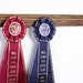 Natural Walnut Horse Show Ribbon Display/ Horse Award Display/ Award ...