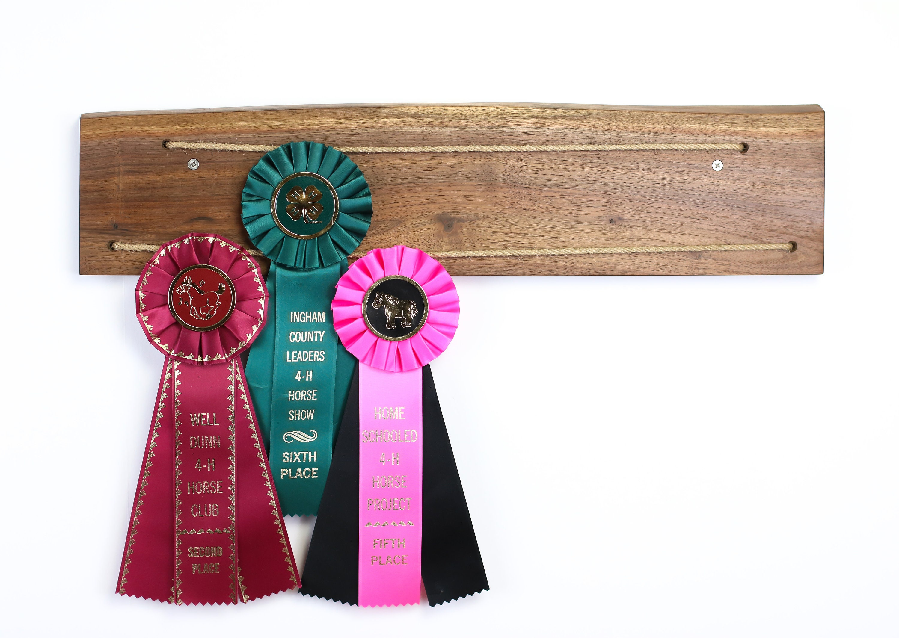 Wooden Horse Show Ribbon Award Display - Etsy