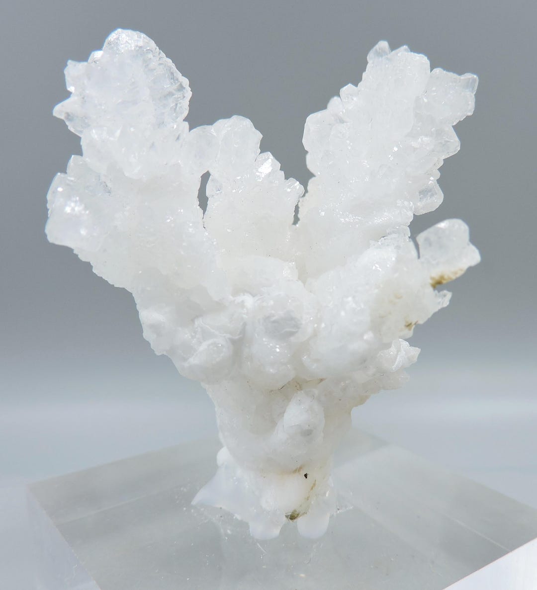White Aragonite From Mexico – Miniature - Etsy